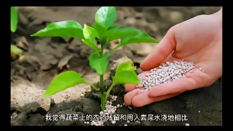 蔬菜上的农药残留跟用人粪尿浇菜,哪个对人体危害更大