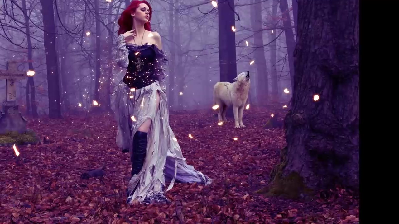 魔法森林Photoshop操作教程(720p)