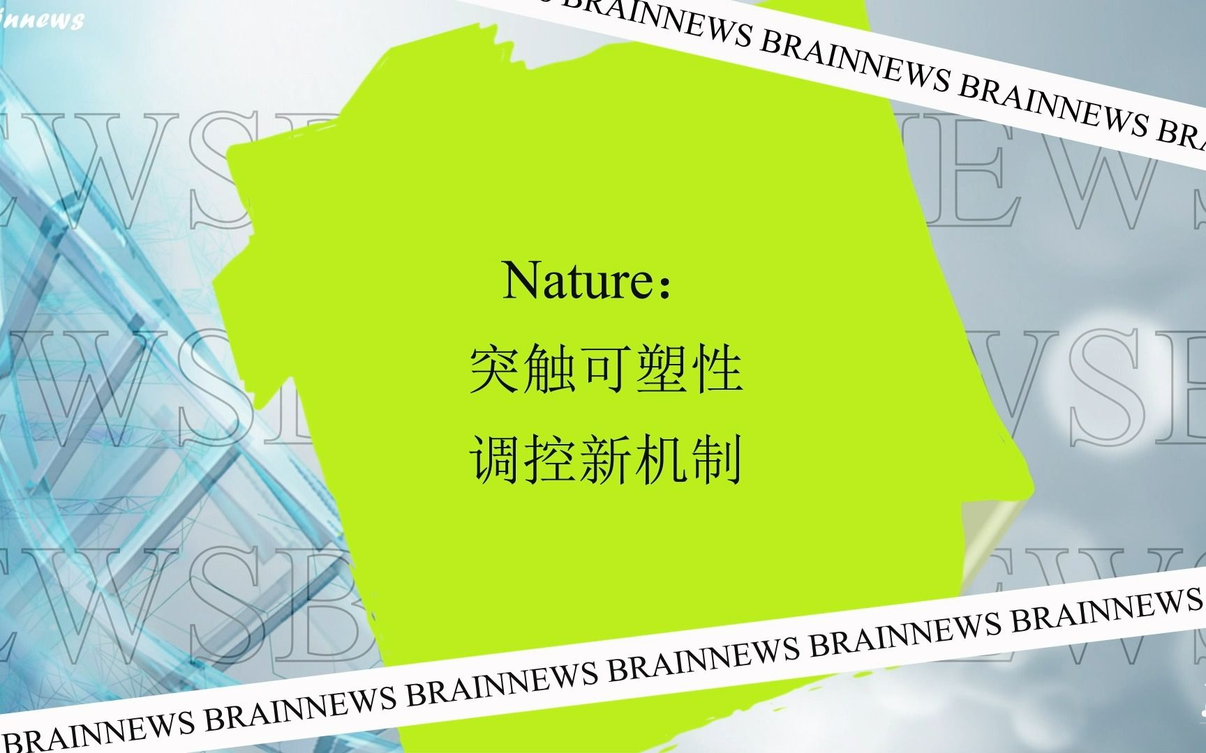 ...可塑性调控新机制——揭秘突触囊泡的快速补充关键分子SYT3的作用