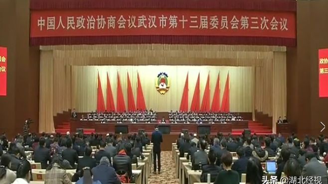 政协武汉市第十三届三次会议圆满闭幕