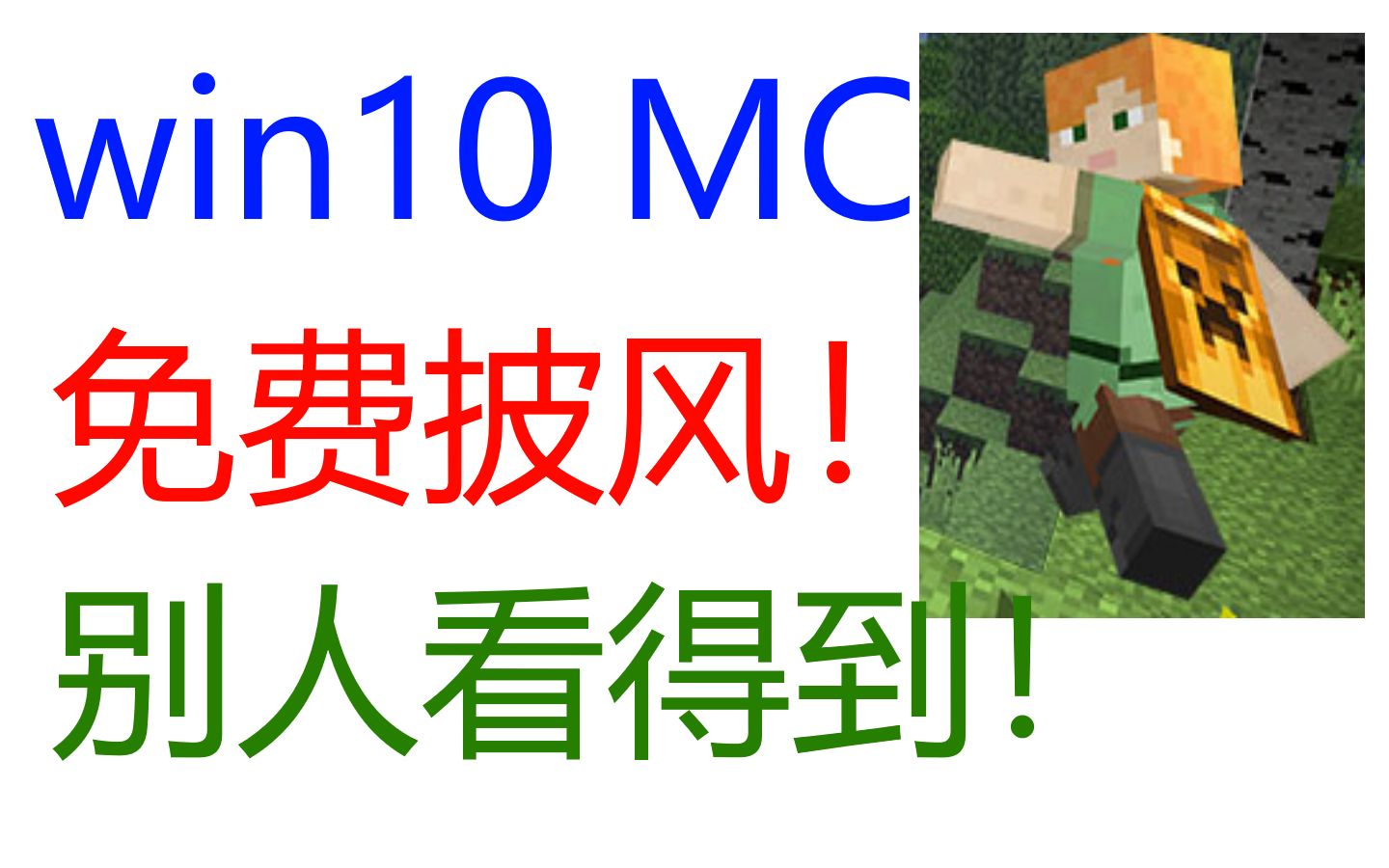 我的世界免费披风!别人能看见!苦力怕披风!