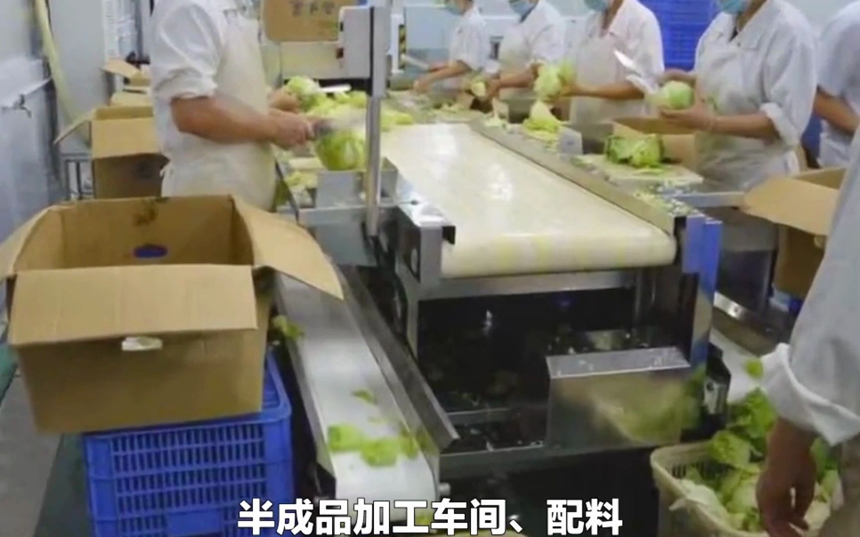 中央厨房预制菜的生产加工工艺 中央厨房所需的设备结构 预制菜工厂...