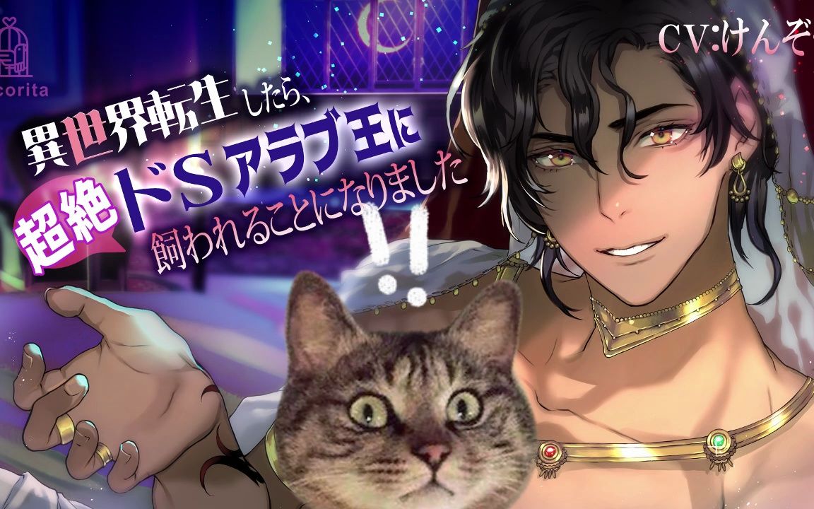 【乙女Drama】CV.けんぞう 转生到异世界到阿拉伯王国的XXX物语