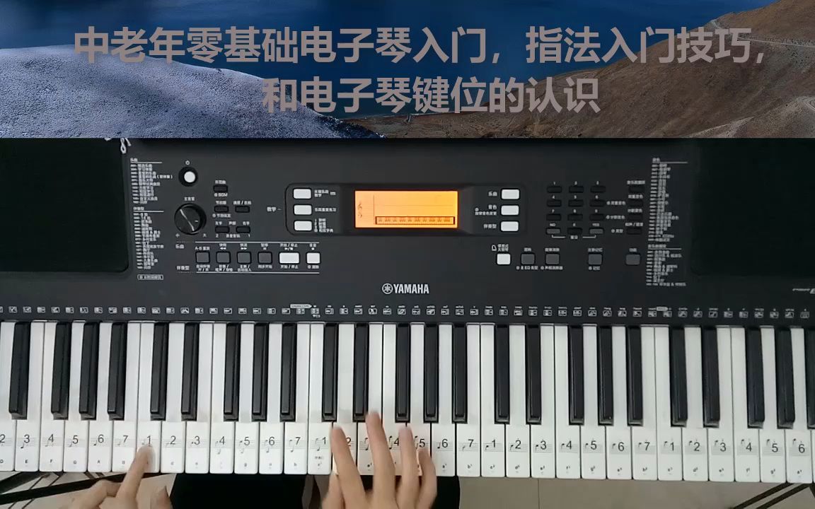 中老年零基础电子琴入门,左手和弦技巧,和电子琴键位的认识
