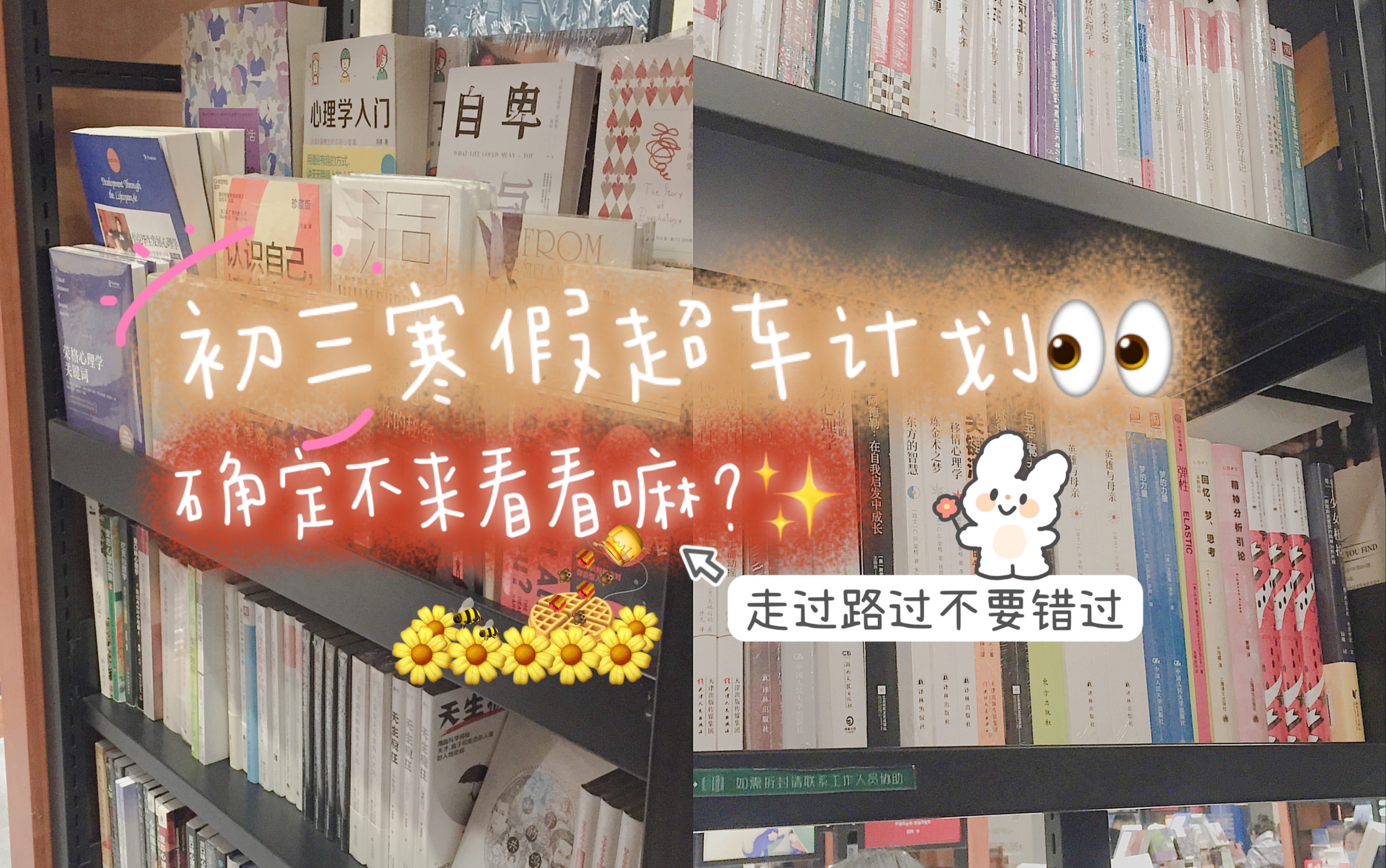 寒假超车计划,你值得拥有!初三党看这里!迟卿教你寒假逆袭