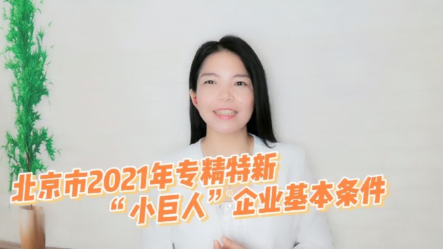 北京市2021年专精特新“小巨人”企业基本条件
