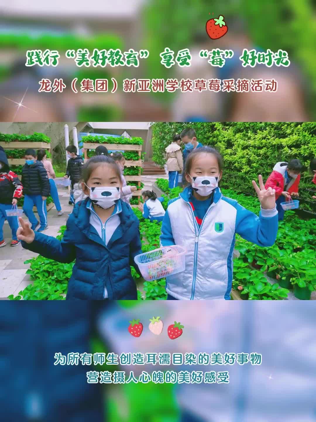 深圳社区共享农场研学基地,带您走进学校智慧农场;感受“莓”好时光,...