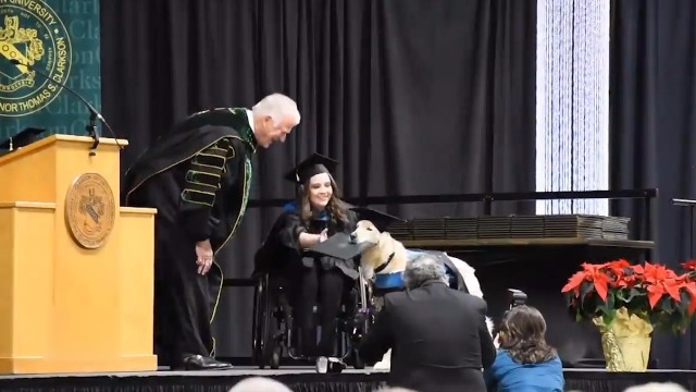 人不如狗系列,你的学历是啥?有只狗获得了硕士学位