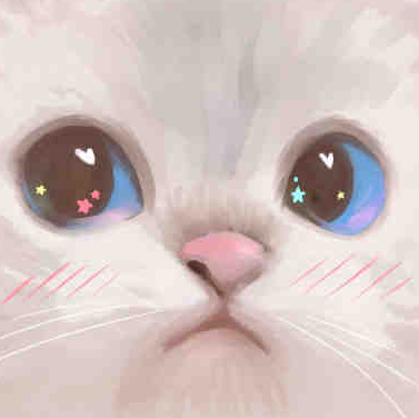 计算机二级导航学姐 