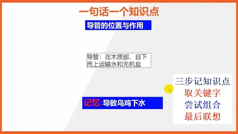 七年级上册生物知识点记忆 导管的位置和作用