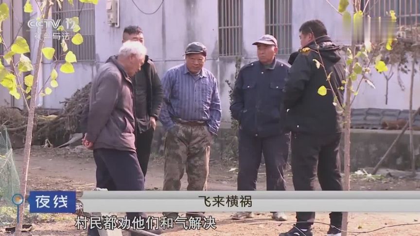 围观伐树 意外身亡 被树砸死谁赔偿?