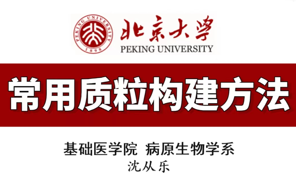 实验室常用质粒载体的构建思路