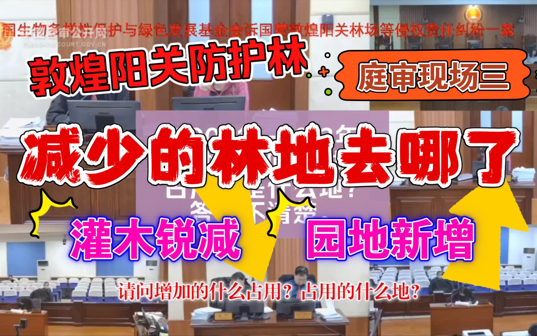 【敦煌阳关防护林】减少的林地去哪了?评估人员答原告问 -庭审现场(三)