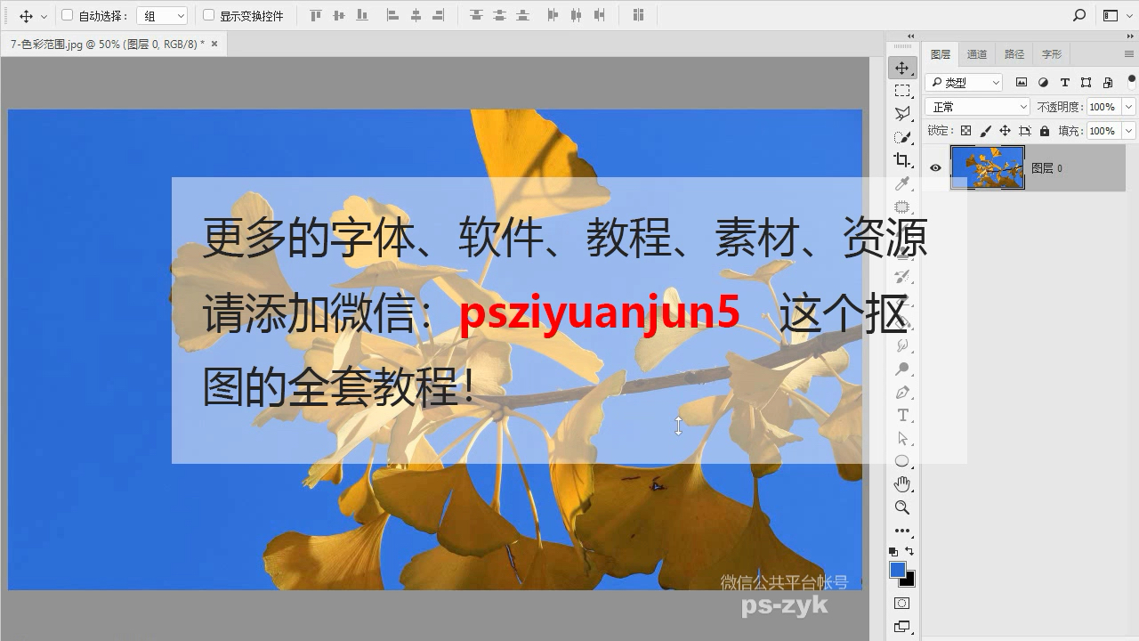 ps抠图方法 ps快速入门 ps怎么抠图教程