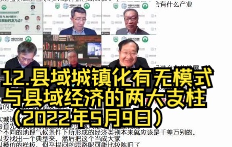 12县域城镇化有无模式与县域经济的两大支柱