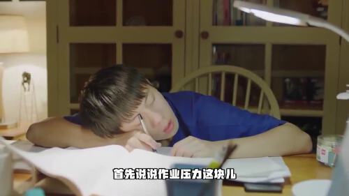 真实镜头下:揭秘当代中学生的日常与压力