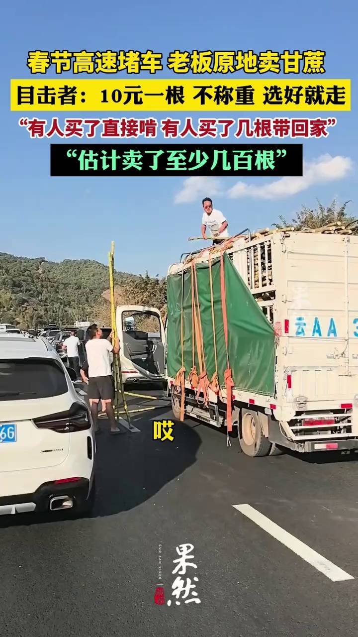 高速堵车老板原地卖甘蔗,目击者发声:10元一根,不称重,选好就走