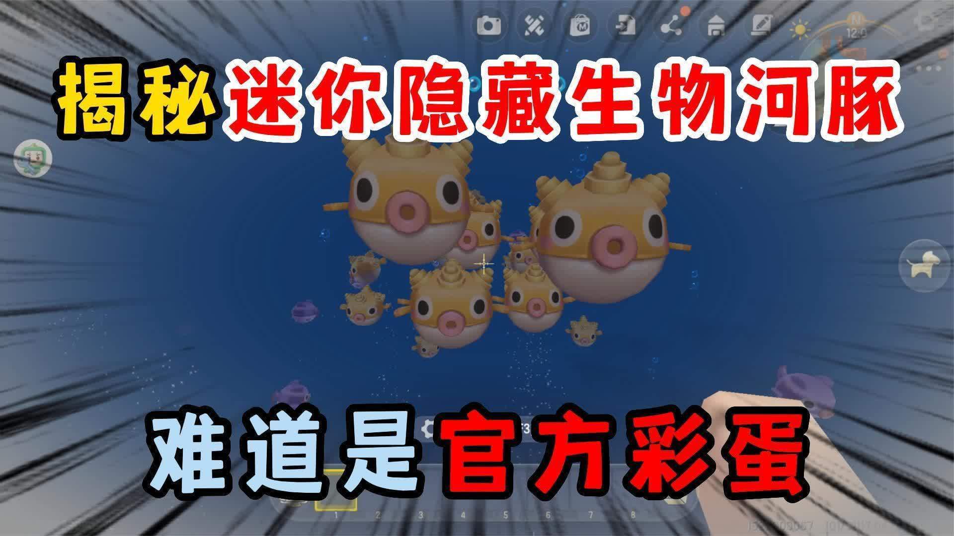 迷你世界:揭秘迷你隐藏生物河豚,难道是官方彩蛋