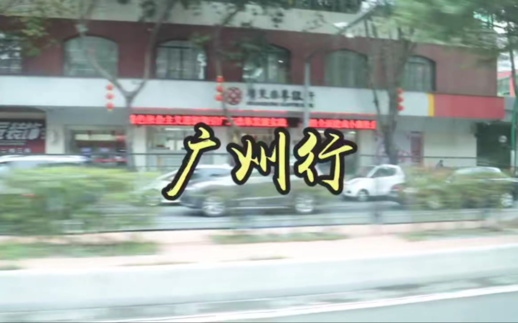 tf家族广州行reaction