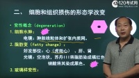 临床基础细胞组织的适应、损伤和修复 120考试网