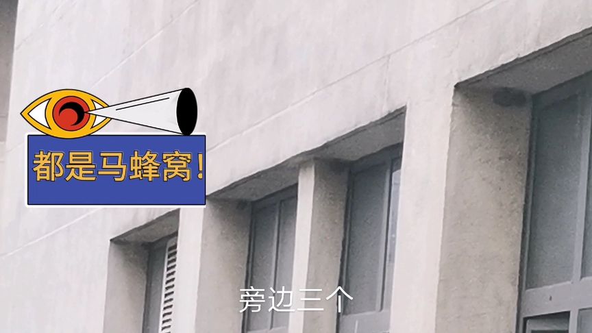 单位窗檐下都是马蜂窝,这是捅了马蜂窝了吗?希望它们不骚扰我们