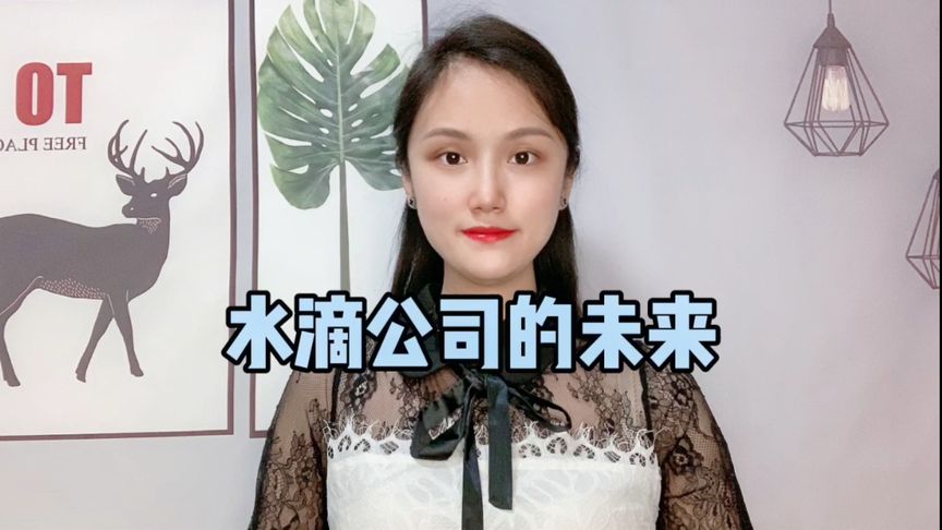 小娇观财经:水滴公司的未来