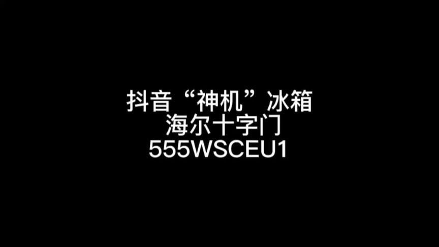 十字门海尔555冰箱