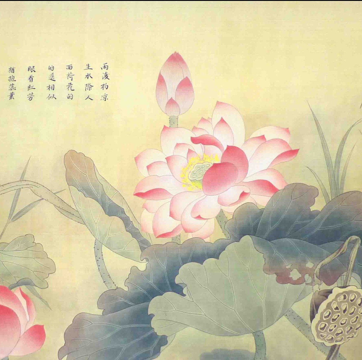 工业互联网小哥 