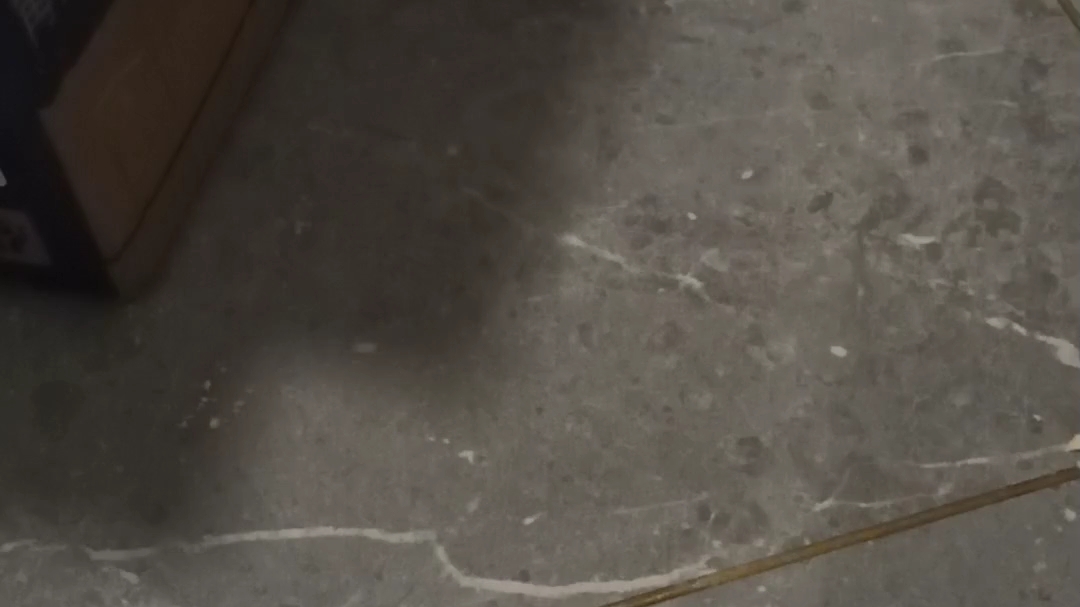 给蟋蟀,蟑螂做的营养餐成分之一,豆粉