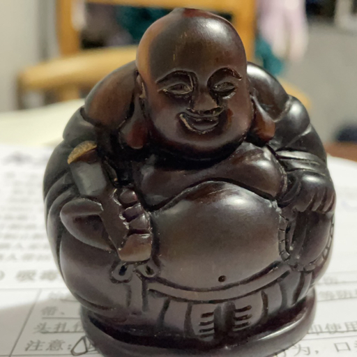 安阳讲公专 