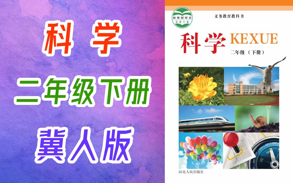 小学科学二年级下册科学 冀人版 冀教版 小学科学2年级下册科学 河北...