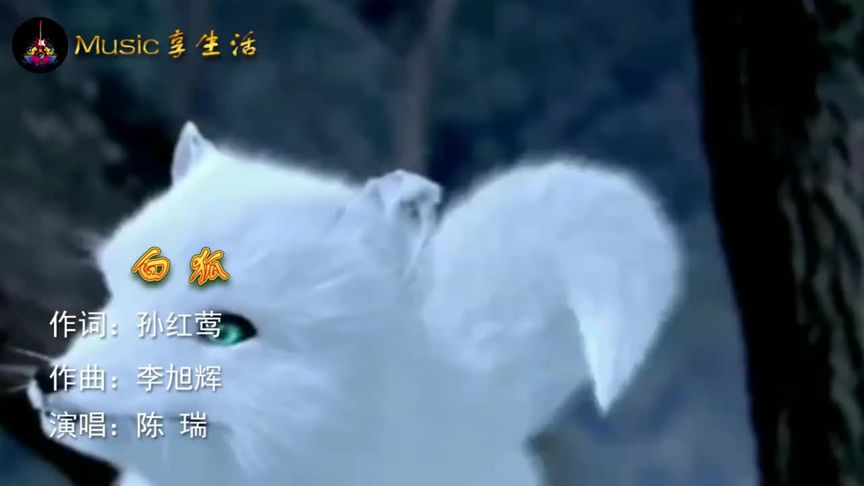 这首《白狐》婉转悲伤,一开唱,就成经典,是可以无限循环的好歌