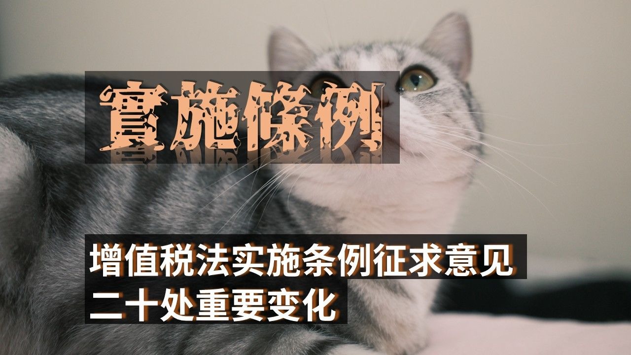 增值税法实施条例征求意见,二十处重要变化