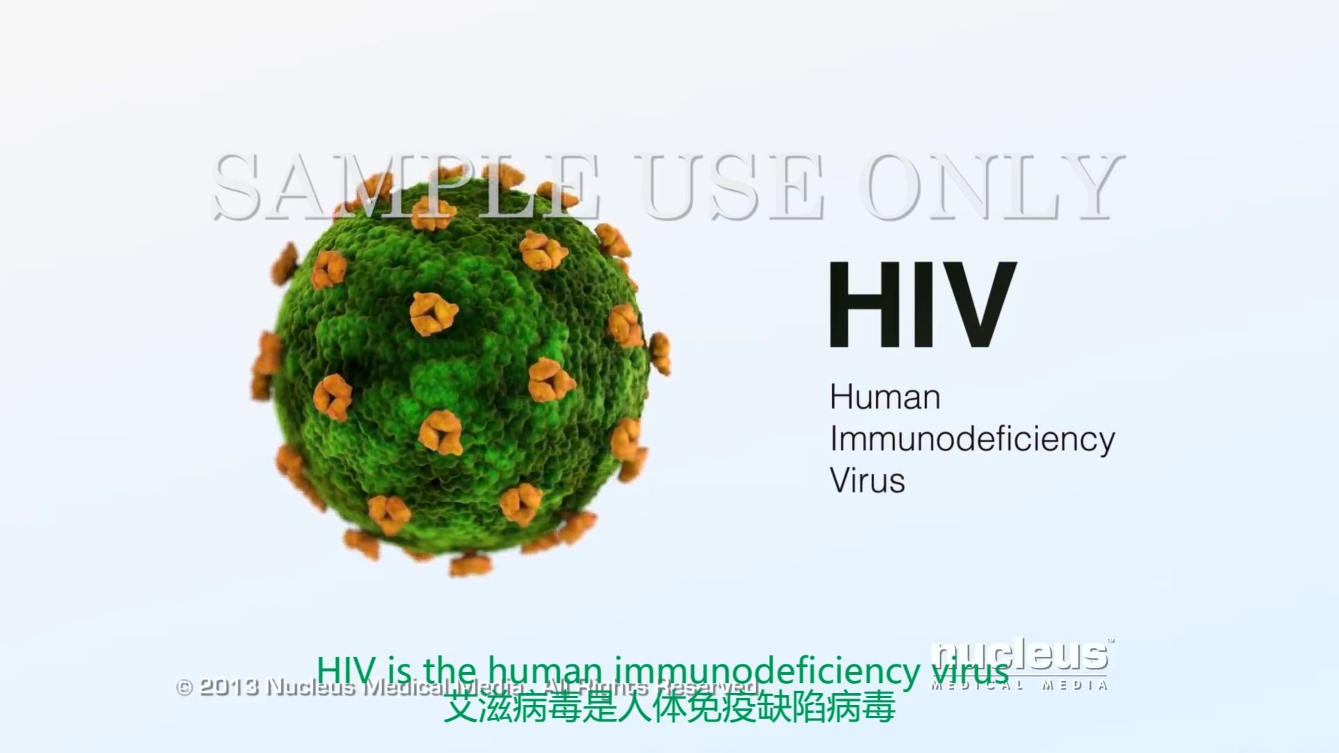 【3D医学动画】HIV病毒和艾滋病