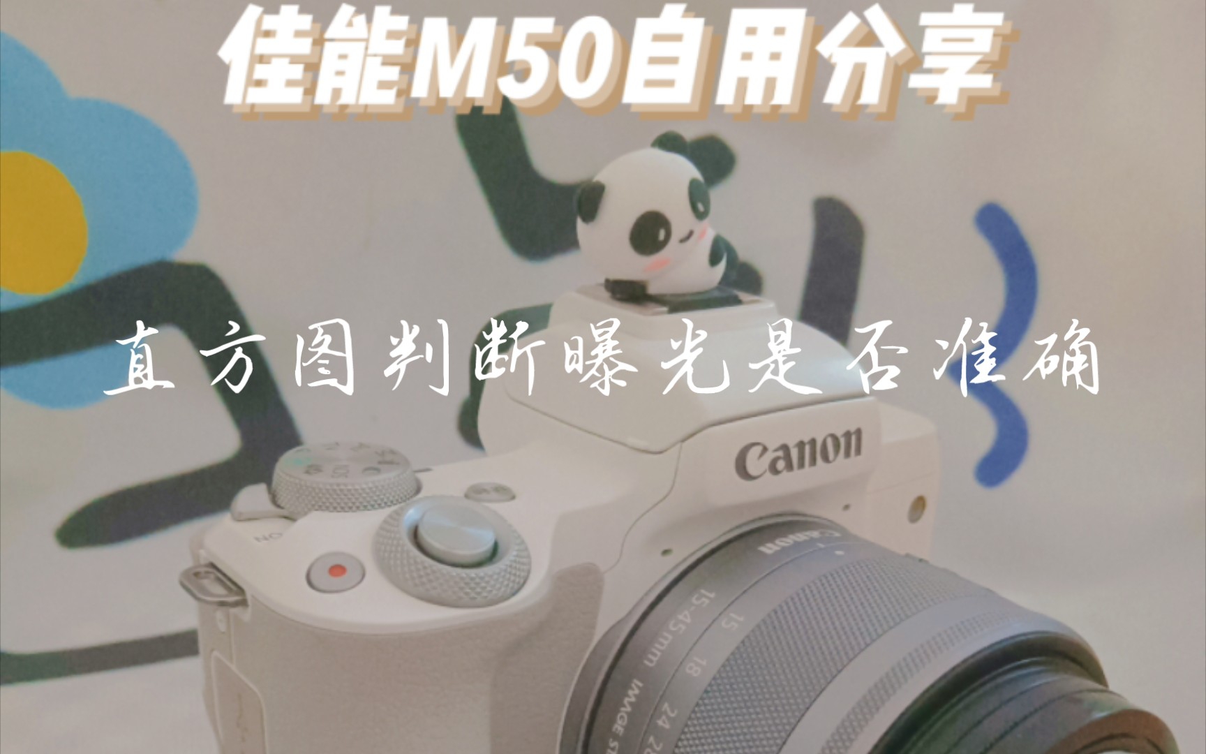 38.直方图判断,曝光是否准确?新手UP主的佳能m50自用分享第38期