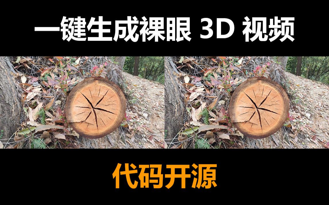 裸眼3D | 被砍倒的木头 | 视频2D转3D开源代码demo