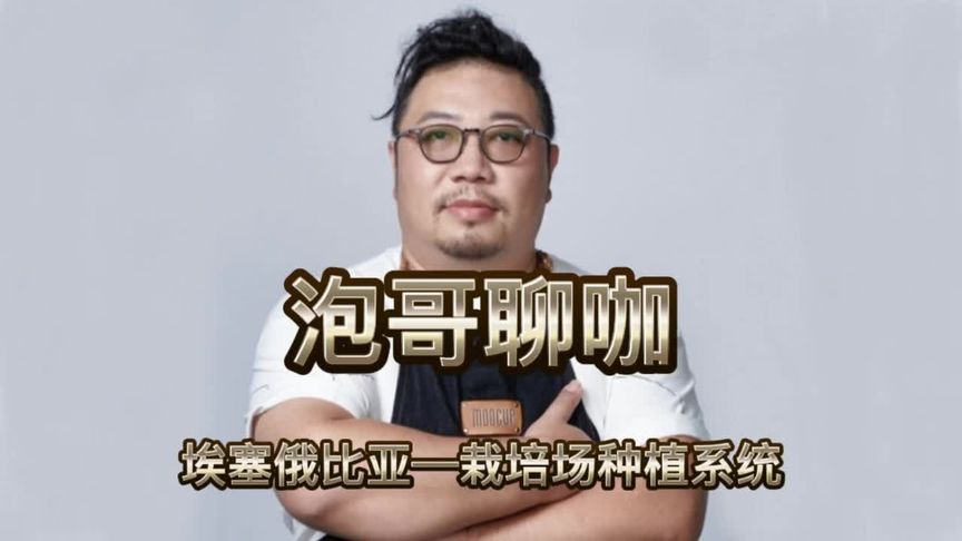 泡哥聊咖栽植场种植系统这类咖啡,像我们国营企业