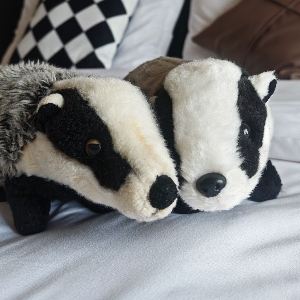 陆提安你的名字不过审 