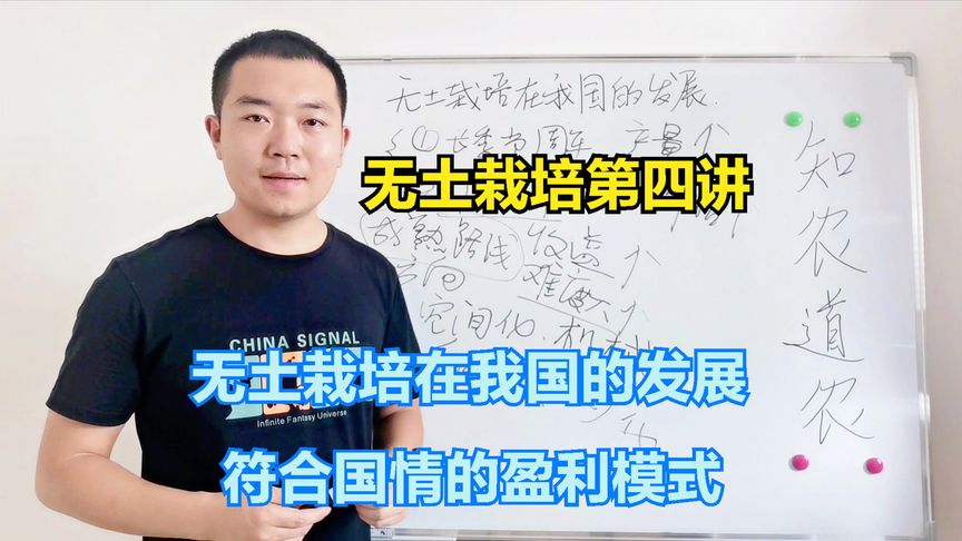 无土栽培在我国的发展、现状和展望,以及符合国情的盈利模式