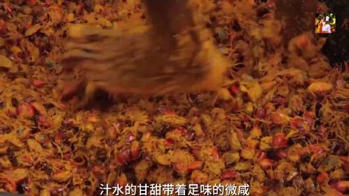 “这果汁榨得很随意,最后变成了棕榈油”