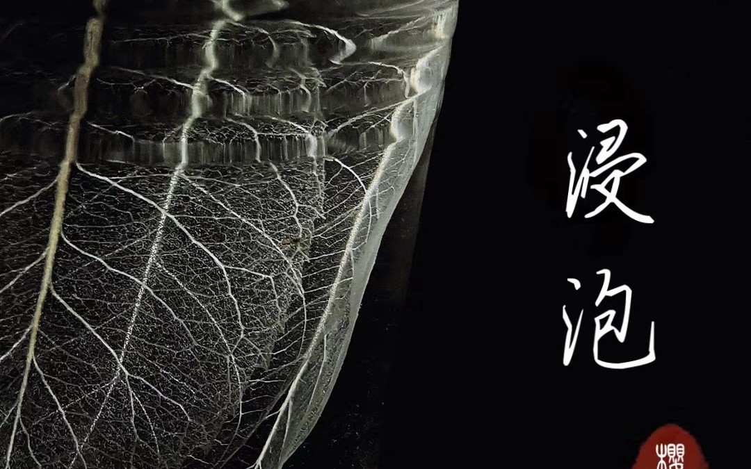 叶脉书签的制作过程