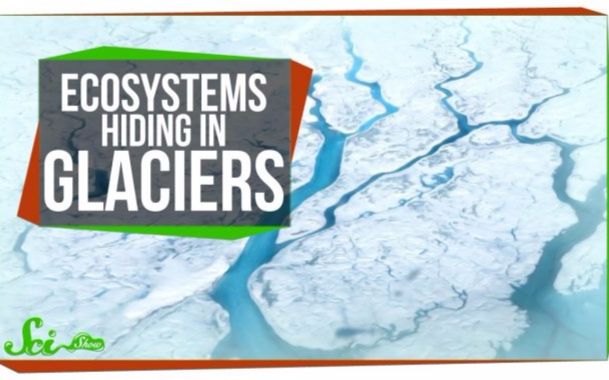 【Scishow】藏在冰盖下的微型态系统 @圆桌字幕组