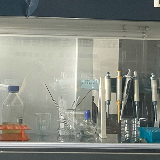 基恩科生物 