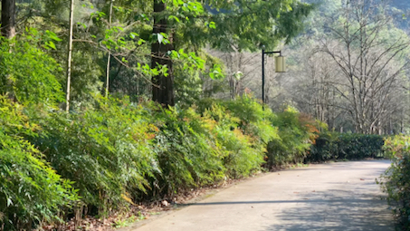 【周末】诸暨五泄风景区