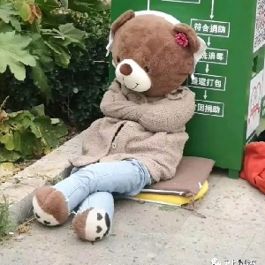 沈一橙橙 