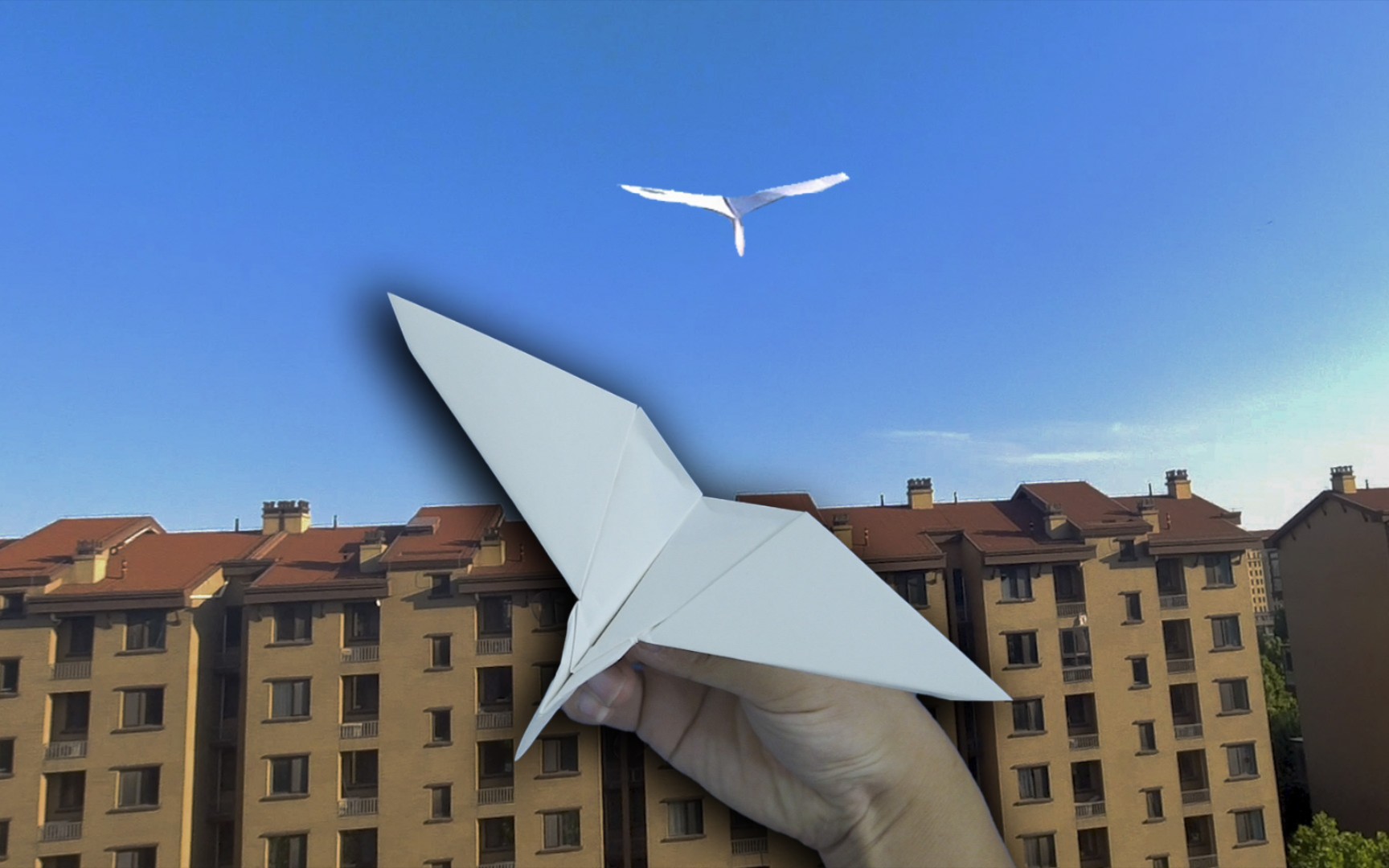 z-101雁仿生纸飞机,可扑翼可高空滑翔太棒了