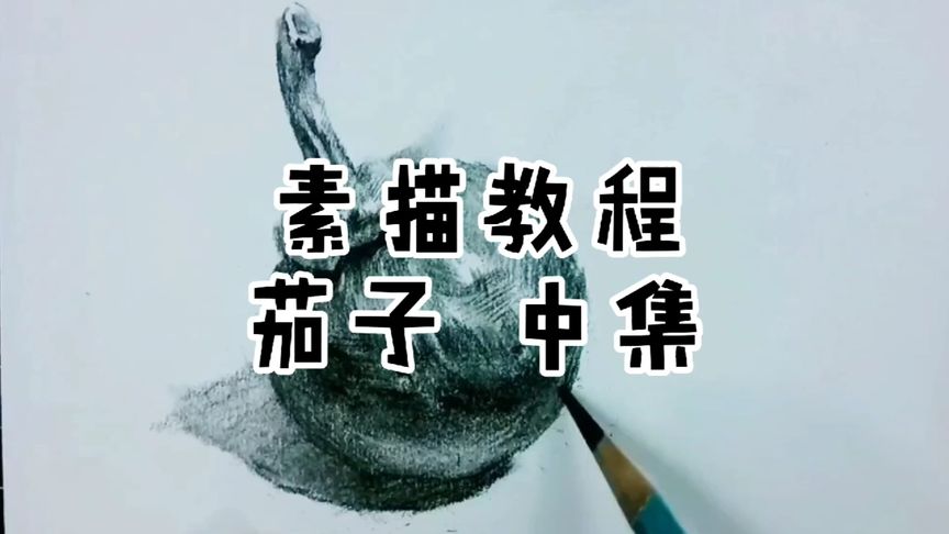 素描教程|教你画茄子中集,零基础就可以学会