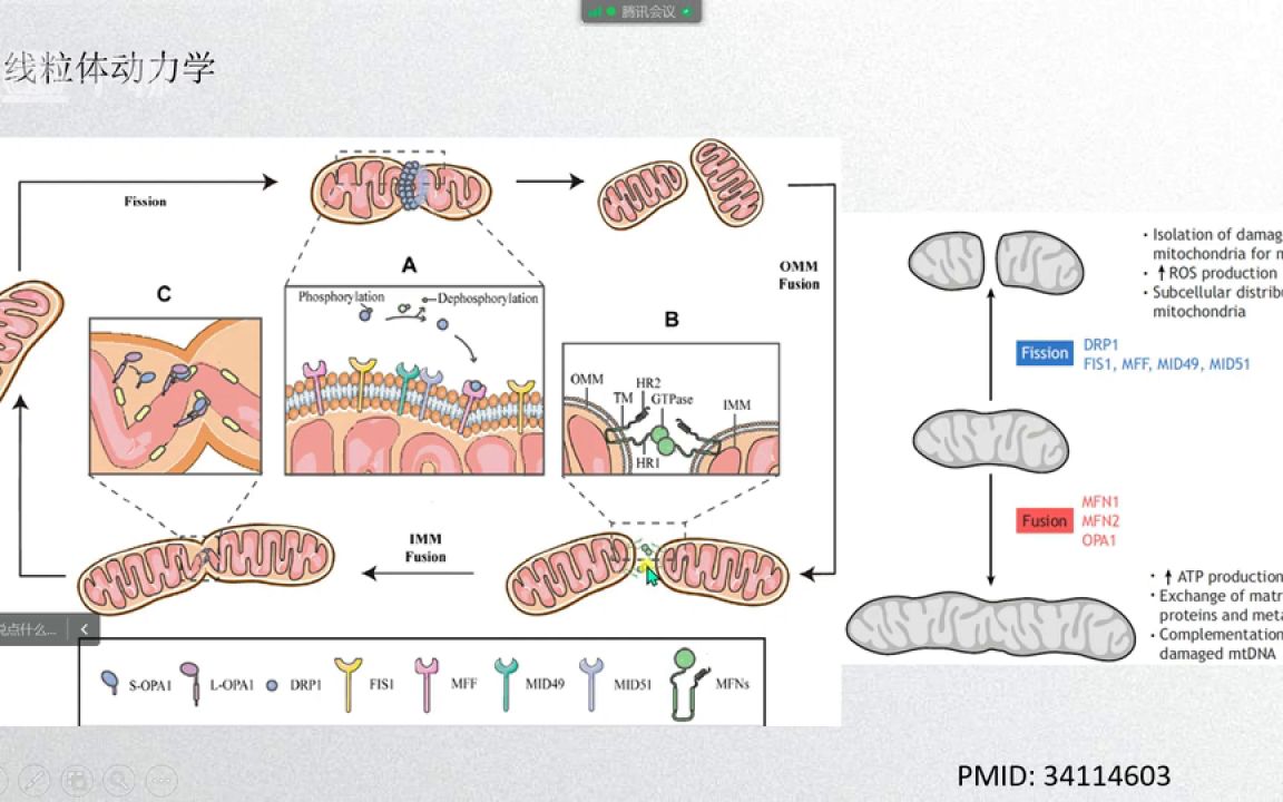 5-3-m6ARNA甲基化文章套路医学会员免费学