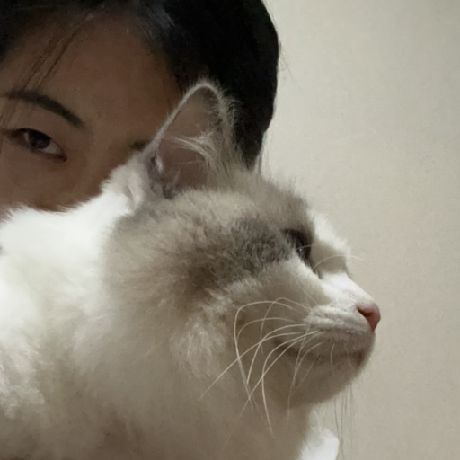 白犀牛的角 