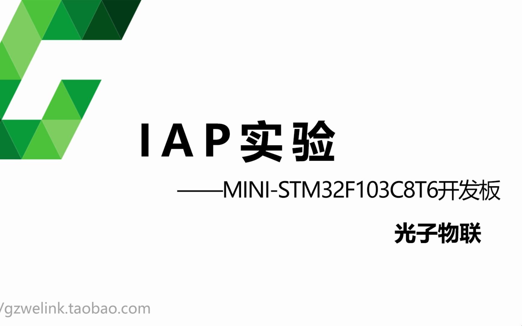 【STM32F103C8T6系列】31. 实验例程——IAP实验
